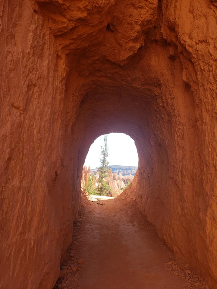 Bryce Canyon National Park – Figure 8 Loop – It's a Magical Life