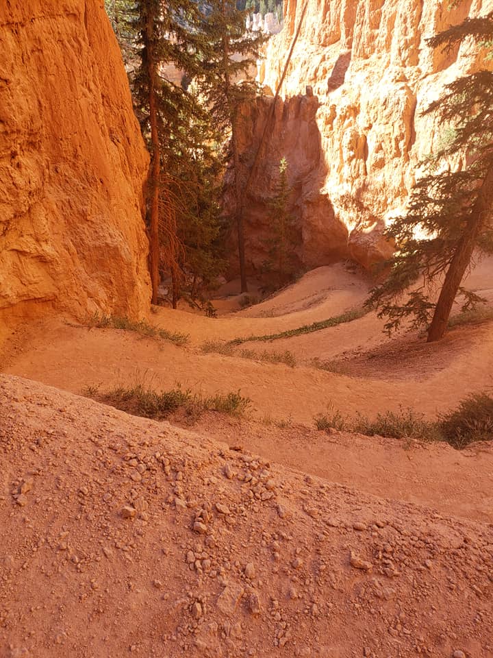 Bryce Canyon National Park – Figure 8 Loop – It's a Magical Life