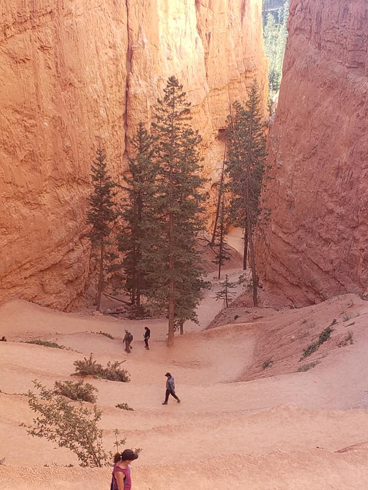 Bryce Canyon National Park – Figure 8 Loop – It's a Magical Life