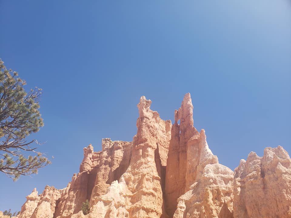 Bryce Canyon National Park – Figure 8 Loop – It's a Magical Life