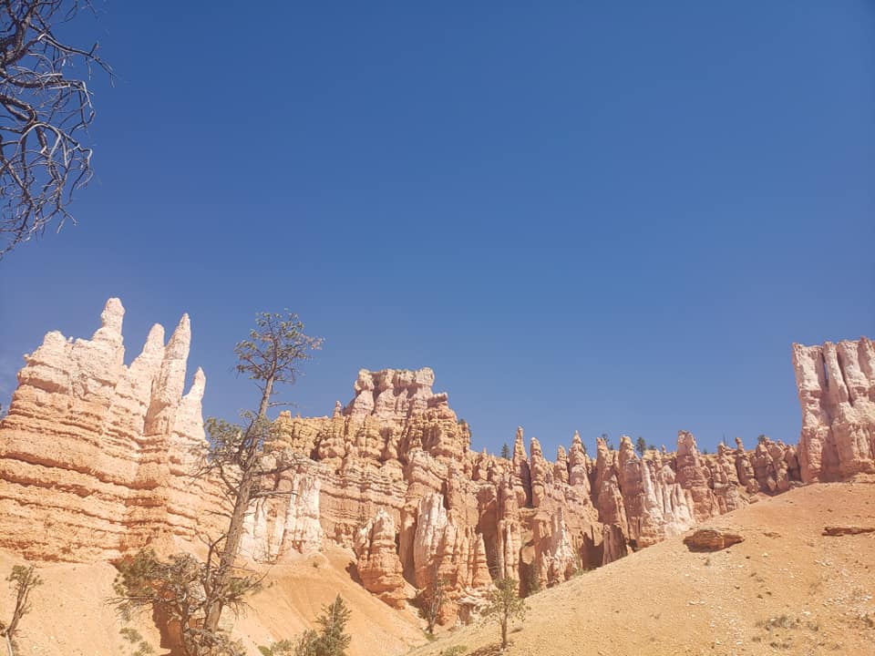 Bryce Canyon National Park – Figure 8 Loop – It's a Magical Life